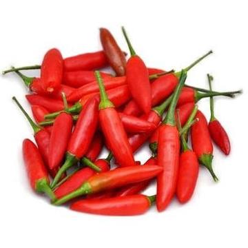 Red Bullet Chilli – Seasia Foods