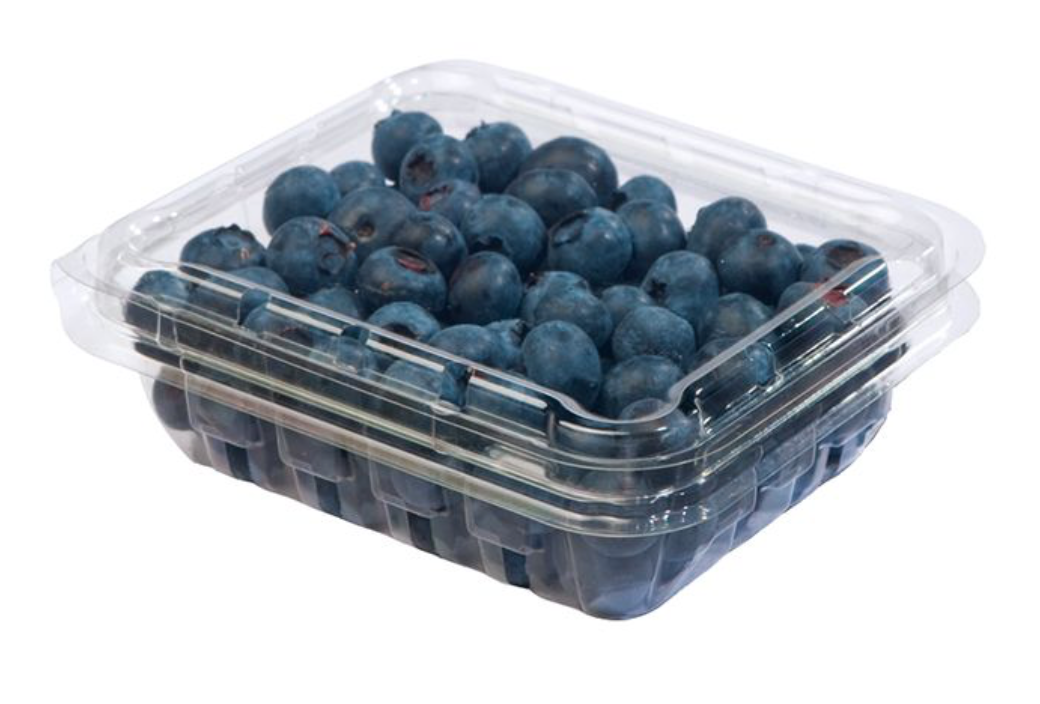 Blueberries - Punnet (125g) – Seasia Foods